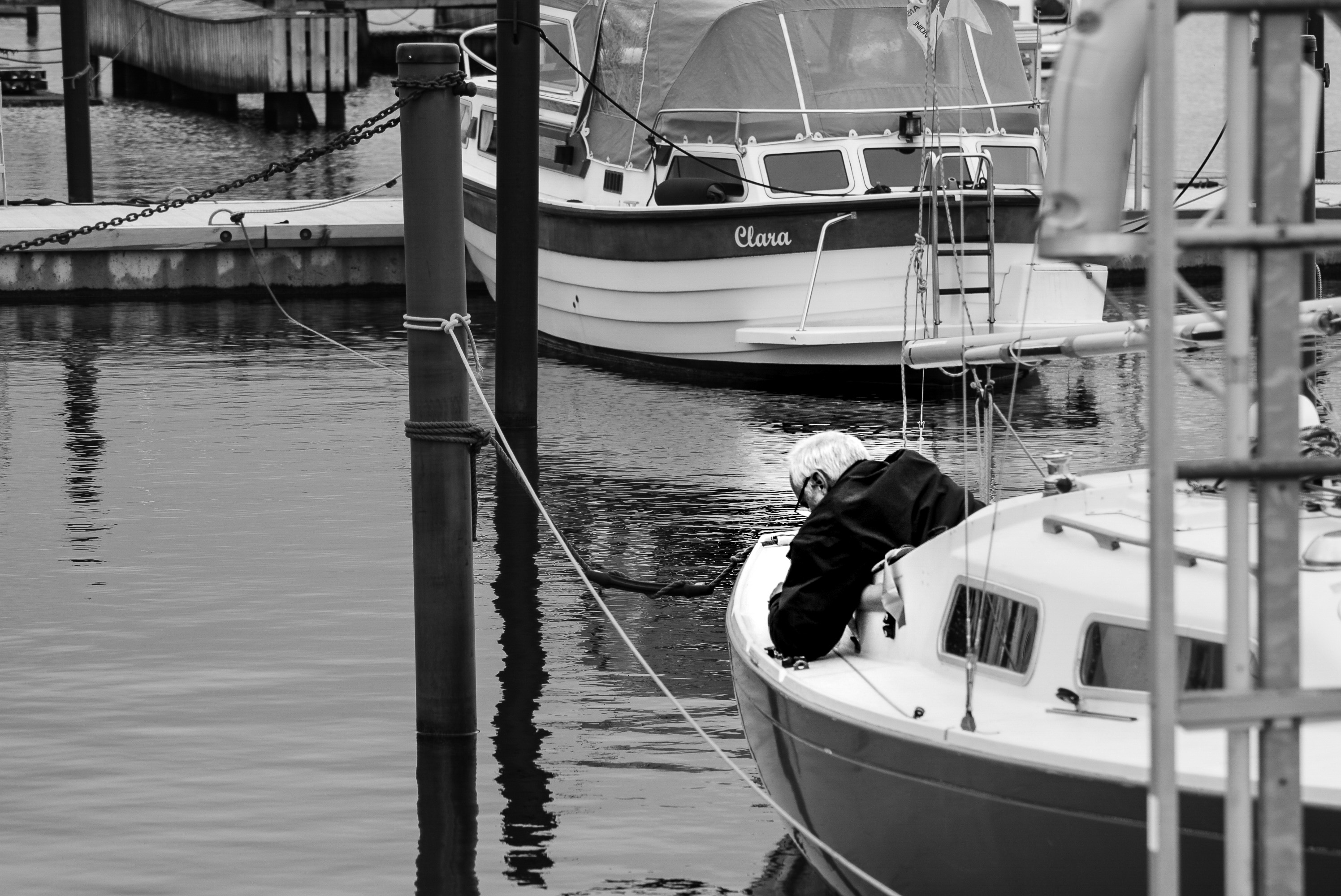 Månedens billeder marts - "Forår"